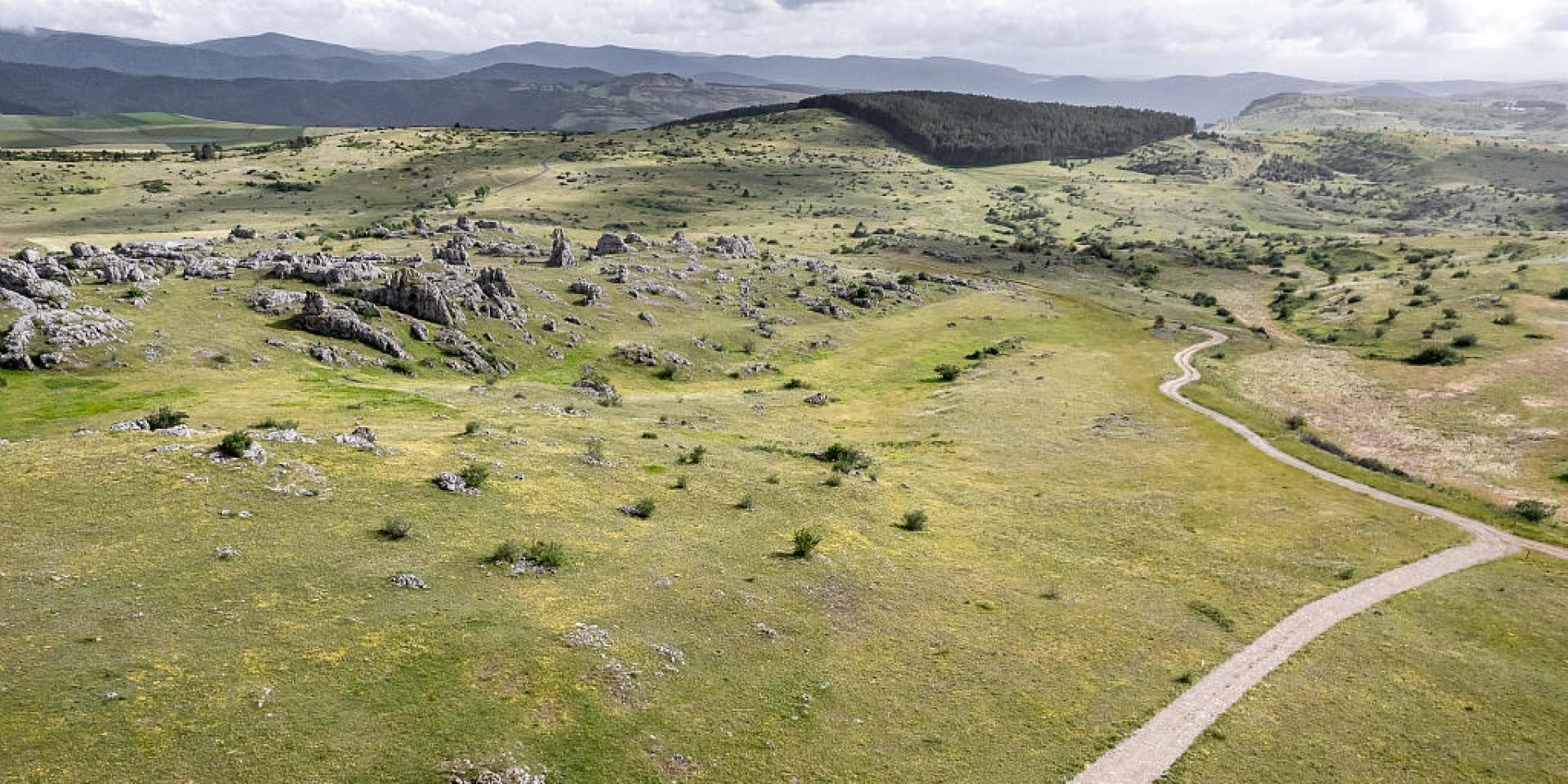 Tour of the Causse Méjean | From Aubrac to the Gorges du Tarn