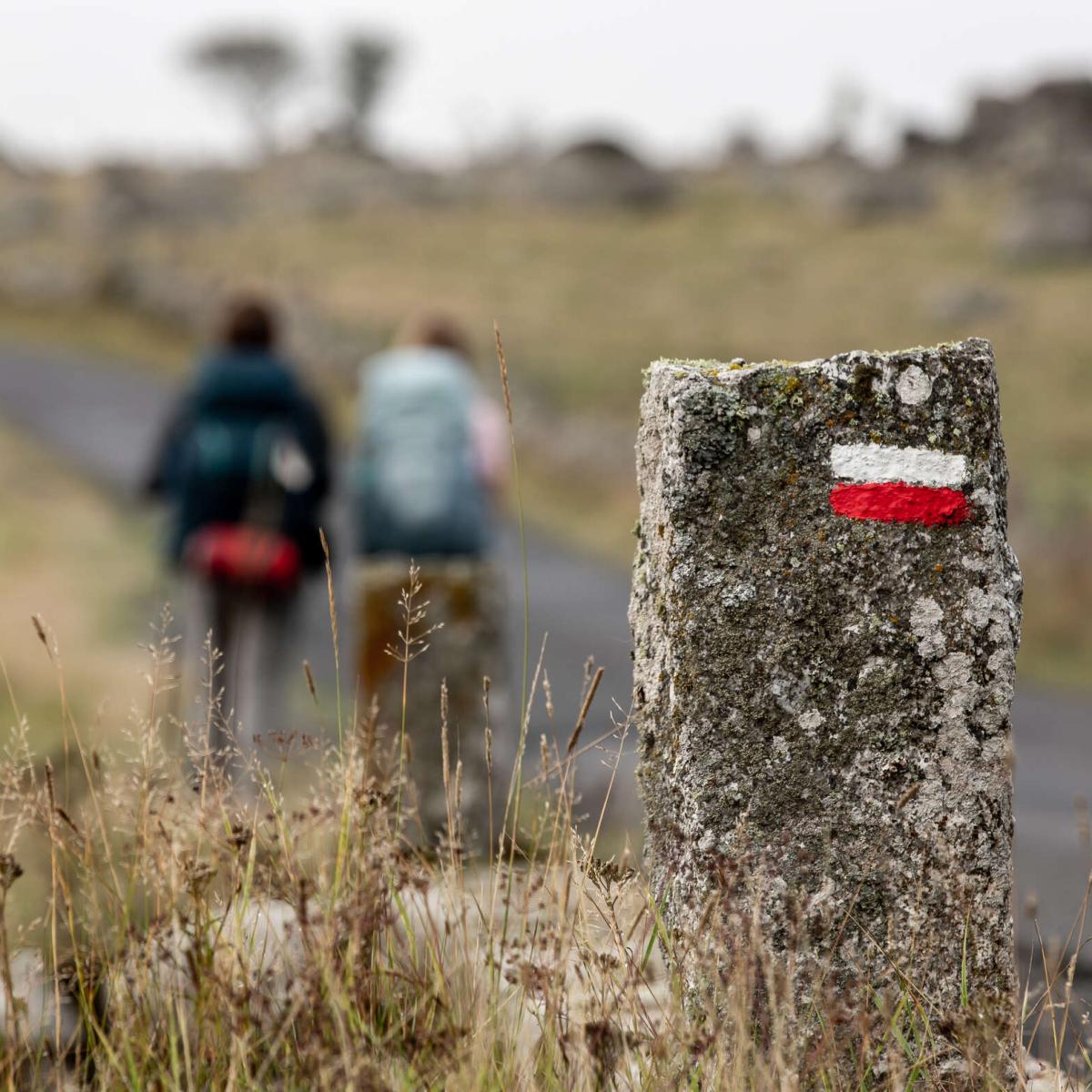 Bons gestes en rando et bivouac | De l'Aubrac aux Gorges du Tarn