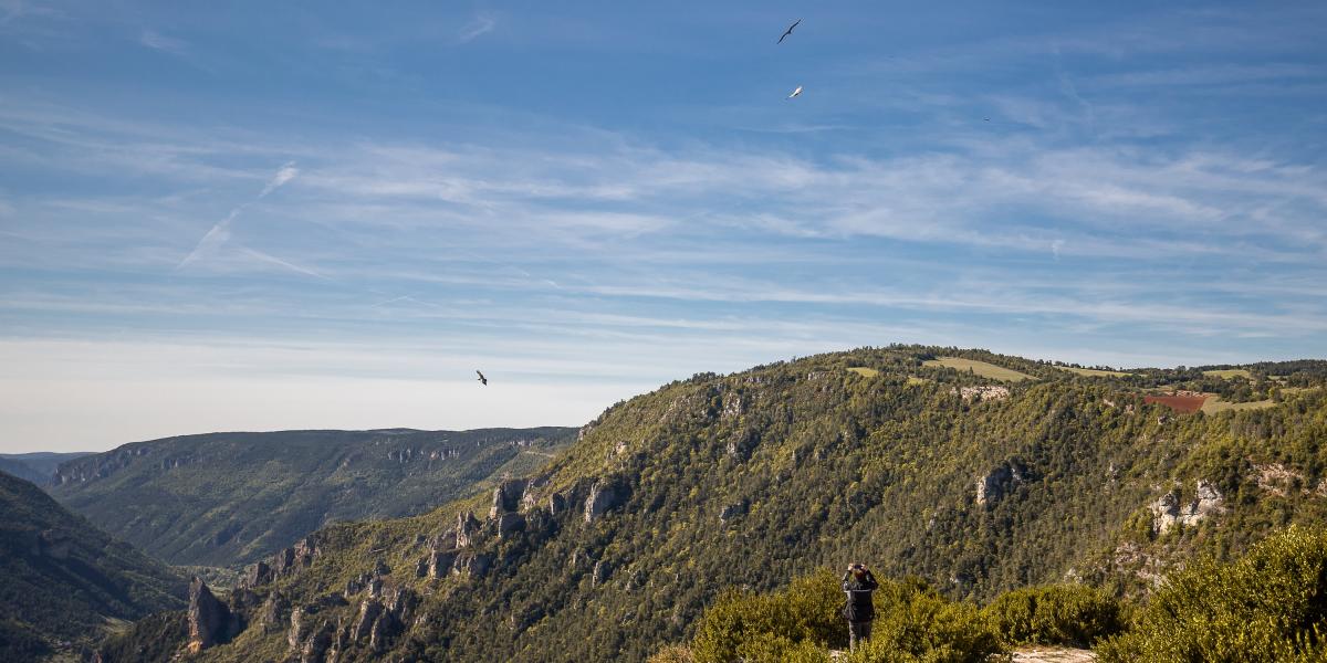 Panorama of Point Sublime | From Aubrac to the Gorges du Tarn